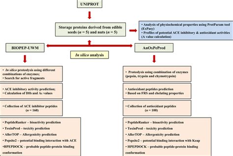 Schematic Representation Of Workflow Download Scientific Diagram