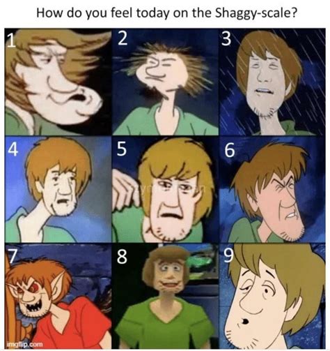 Pin By Speedweed On Dank Scooby Doo Memes Hilarious L
