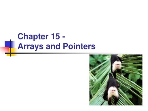 Ppt Chapter 15 Arrays And Pointers Powerpoint Presentation Free
