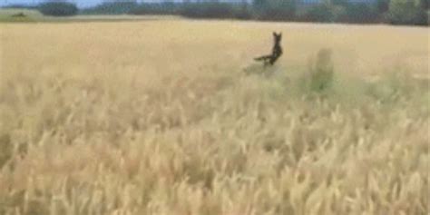 When They Ask Me To Start The Project Without Specifications The Coding Love Programmer