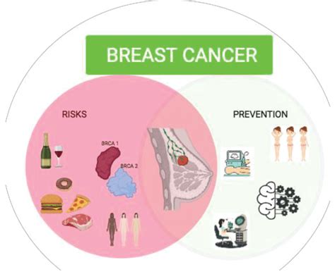 Breast Cancer The Road To A Personalized Prevention Radiation Therapy Oncology