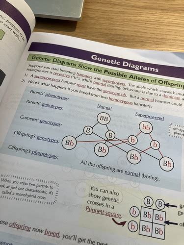 genetic inheritance flashcards quizlet