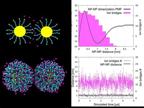 Np Aggregation In Water A Top A Sketch Of An Np Np Dimer In Water