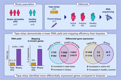 Rna Sequencing Data From Tape Strips And Biopsies Atopic Dermatitis Allergy Eaaci Posted On