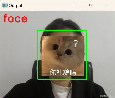 python之opencv库haar级联分类器检测人脸 ‘haarcascade frontalface default xml