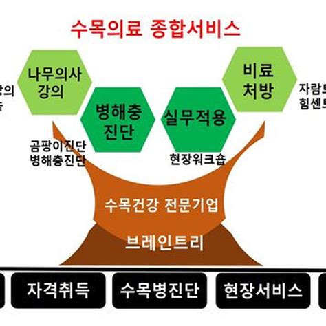 수목생리학 제2강 제2 3장 수목의 기본대사와 적응생리 에어클래스 수목생리학 제2강 제2 3장 수목의 기본대사와 적응생리 에어클래스