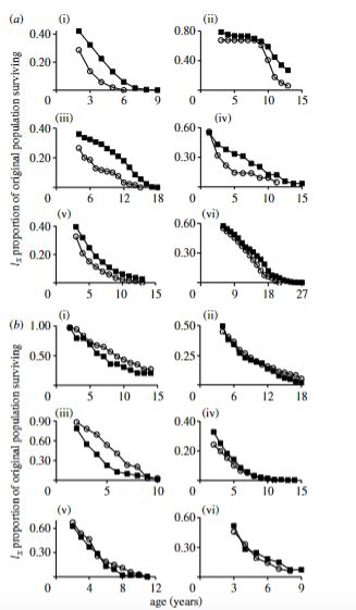 Solved Across Sexually Reproducing Species Males Have A Chegg Com