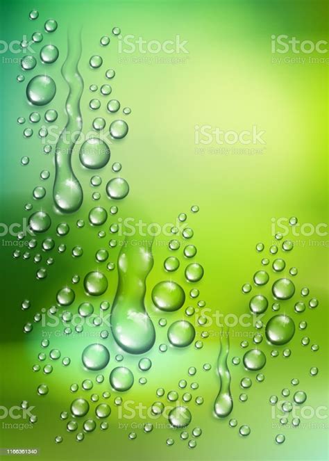 물 빗방울 또는 창 을 넘어 흐린 녹색 자연 배경 위에 응축 현실적인 투명 3d 벡터 일러스트 어떤 배경 위에 넣어 쉽게