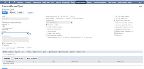How To Make The Most Of NetSuite Custom Records In Custom Segments