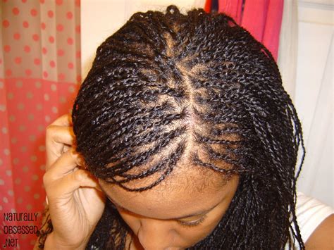 Mini Twist Tutorial Naturally Obsessed