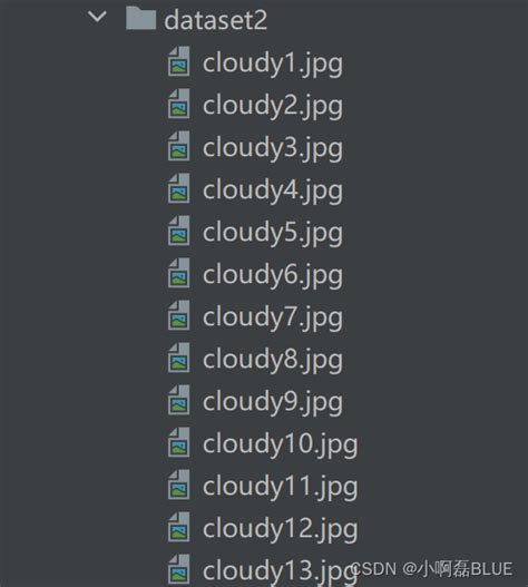 不同数据集文件存放方式来构建datasetdataloader保存数据集 Csdn博客