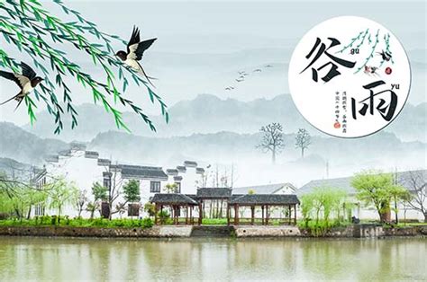 谷雨节气吃什么食物养生
