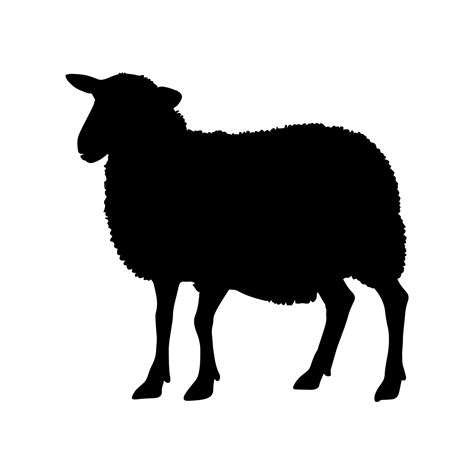 Sheep Silhouette Isolated On White Background Vector Illustration