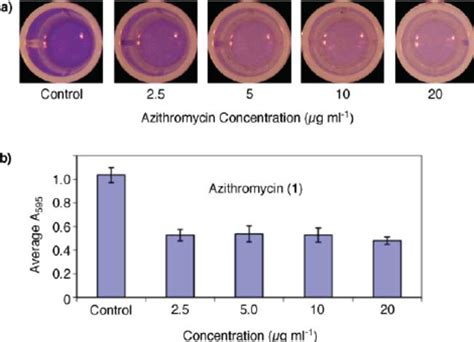 A Biofilm Assays At Various Concentrations Of Azithromycin After