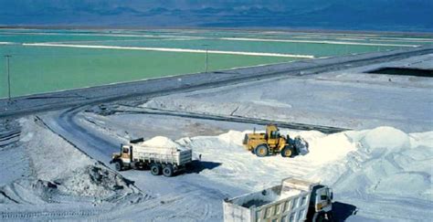 Японд зэсийн баяжмал БНСУ Монголын жоншийг сонирхож байна