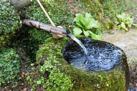 How To Set Up Your Own Off Grid Water System Survival Reflex