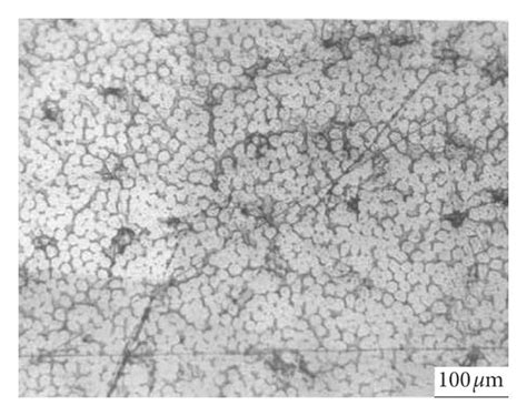 A Characteristic Photograph Of The Microsection Of The Unidirectional