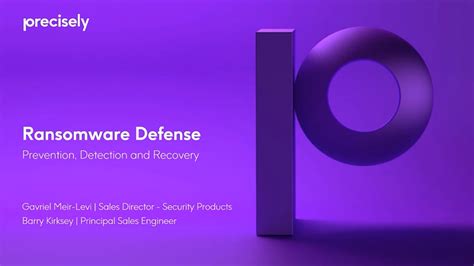 Best Practices For Preventing And Recovering From Ransomware Precisely