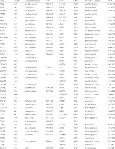 Positions Of Mir 619 5p Binding Sites And Disease Or Function Of Target