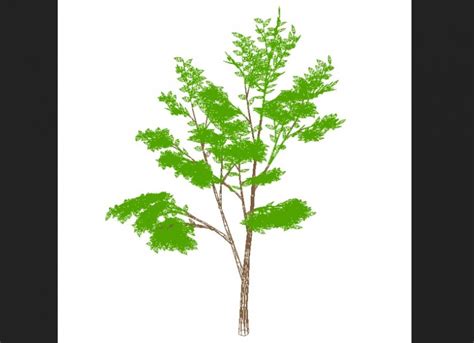 Plan Of A Tree Detail Dwg File