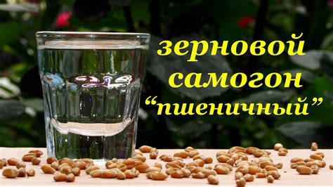 Зерновой самогон, пшеничный - YouTube