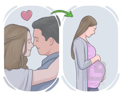 Definition And Meaning Of Conceive Picture Dictionary