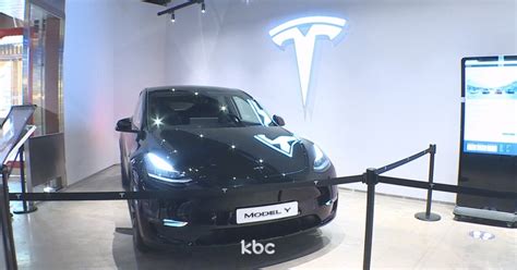 테슬라 모델y 보조금 62 삭감 보조금 최고 전기차는