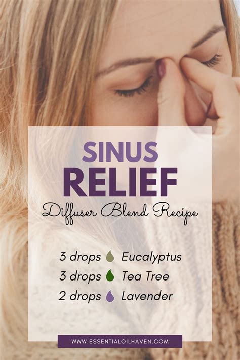 10 Eucalyptus Diffuser Blends For Respiratory Health Breathe Easy