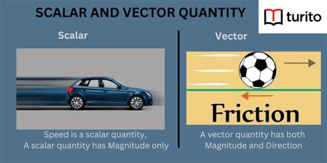 Vectors Scalar Quantity Vector Quantity With Examples