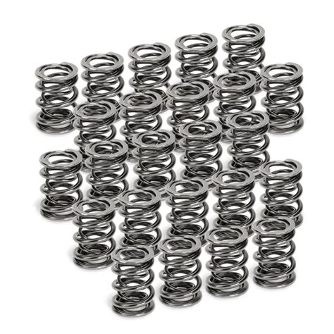 Supertech Spr Tc25d 24 Dual Valve Spring Set Of 24 Fits Volkswagen