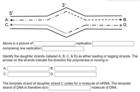 Solved 3 5 Above Is A Picture Of Composing One Replication