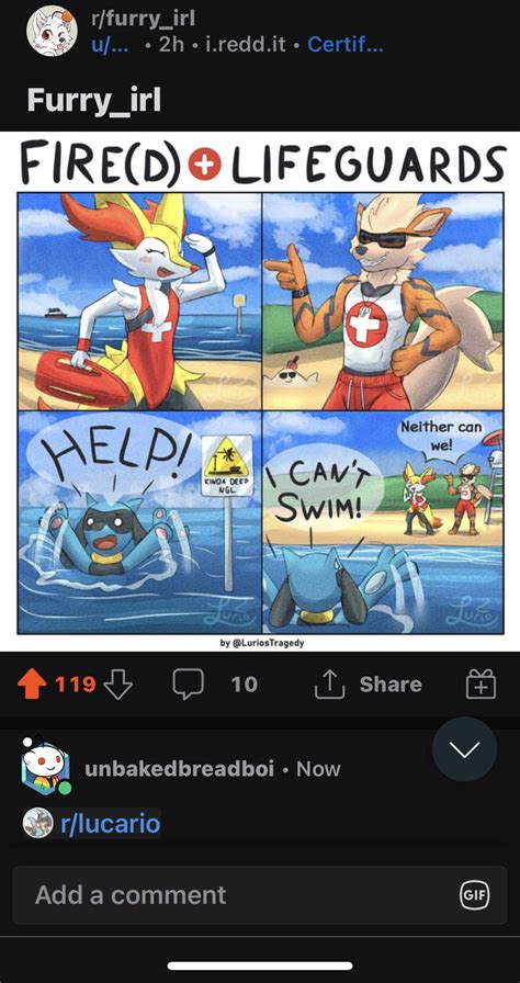 Average Furryirl Post Meets Lucario Post R Lucario
