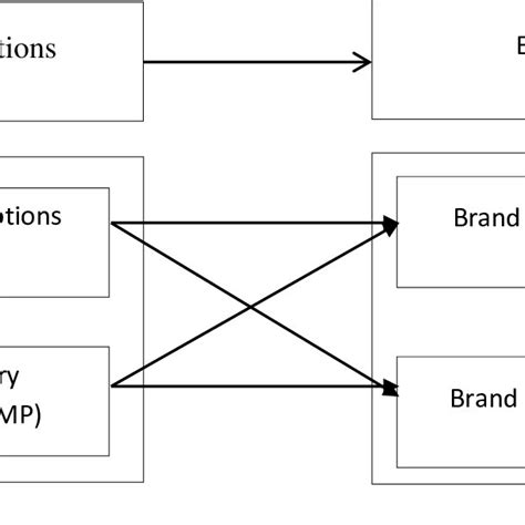 Operational Conceptual Framework Of In Store Promotions And Brand Download Scientific Diagram