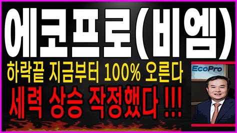 에코프로 에코프로비엠 개미 완전 소멸 세력 지금부터 미친듯이 올리는 이유 에코프로주가 에코프로비엠주가 Youtube