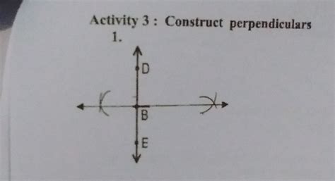 Activity 3 Construct Perpendiculars 1 Gauthmath