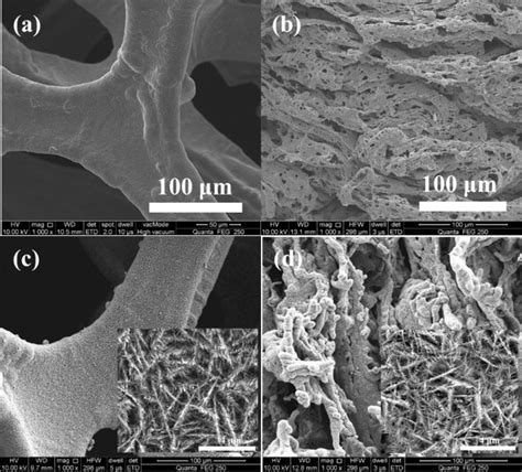 Sem Micrographs Of Mp Ni Foam And Hp Ni Monoliths Before A B And
