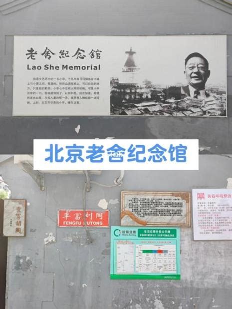 老舍的母鸡选自哪部作品