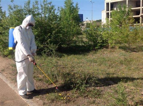 Шарилжгүй Дархан аяны 1 дүгээр шат эхэлж 30 гаруй иргэн түр ажлын байраар хангагдлаа