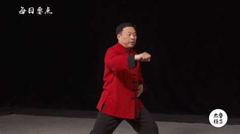 「独家」张东武详细演示太极拳掩手肱拳和云手的打法，看谁还不会生活健身运动好看视频