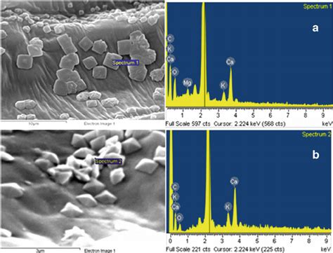 Eds Analysis Of A Exfoliated Crystalline Structures And B Dipyramidal