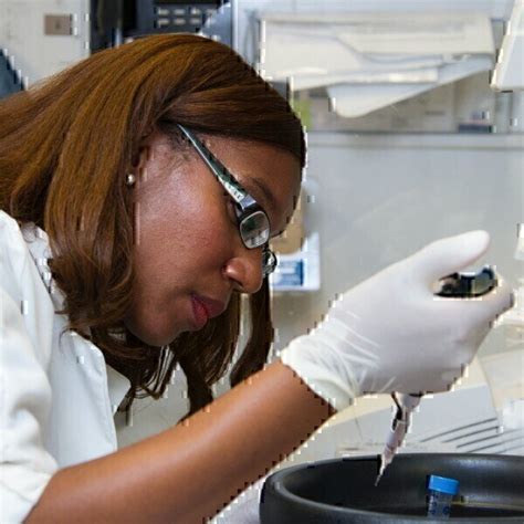 What Are The Sample Preparation Steps Chromatography Today