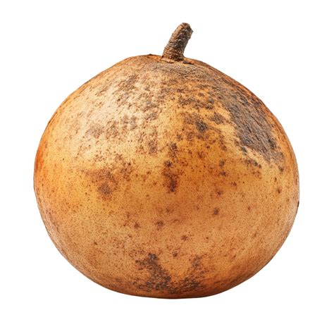 Santol Frucht