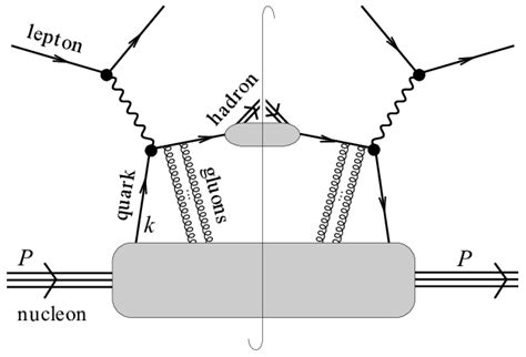 Illustration Of The Elements Of Sidis Factorization The Lower Shaded