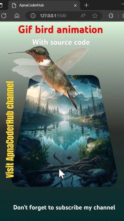  Bird Animation Using Html And Css Shorts Youtube