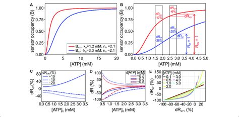 Mathematical Framework Of The Dual Nanosensor Approach A Binding Download Scientific