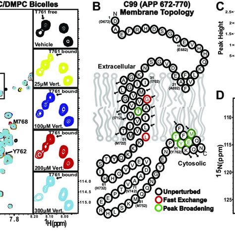 Most Favorably Scoring Model From Experimentally Restrained Rosetta Download Scientific Diagram