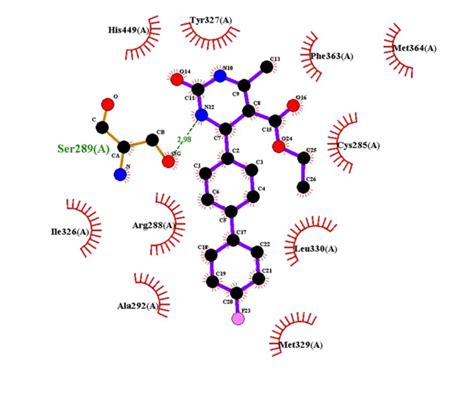 Ligplot Images Showing The Hydrophobic Interactions Of 4d With The Download Scientific Diagram