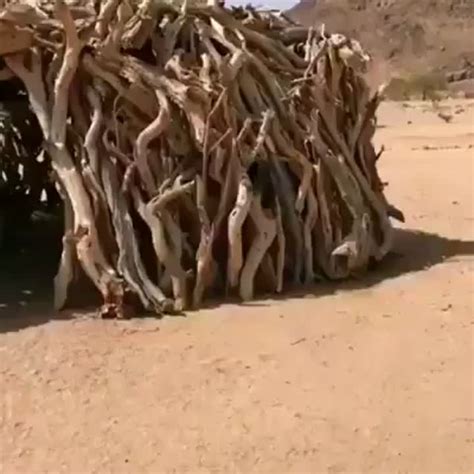 Diwan Khan On Linkedin It Is The Soul Of Islam