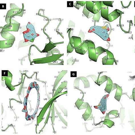 Ligand Protein Molecular Dynamics Simulation Of Selected Docked Complex Download Scientific
