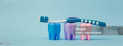 파란색 배경에 세 개의 다채로운 치아의 칫솔과 모형 파란색 배경에 이빨 치아 건강 개념 구강학 텍스트의 위치 구강 건강 및 치과 검사 치아 치과 0명에 대한 스톡 사진 및